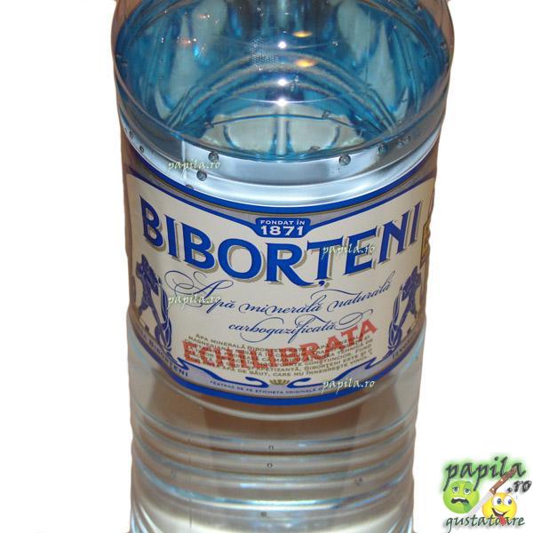 Bauturi - Apa - Apa Minerala Echilibrata Biborteni - Papila.ro